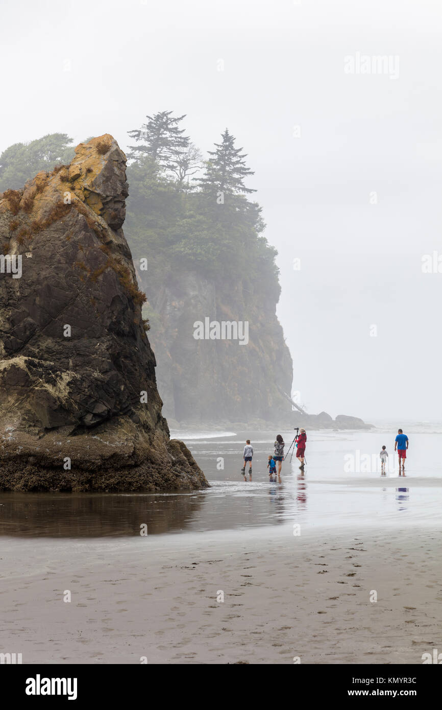 Ruby Beach on the Pacific Ocean in Olypmic National Park in Washington ...