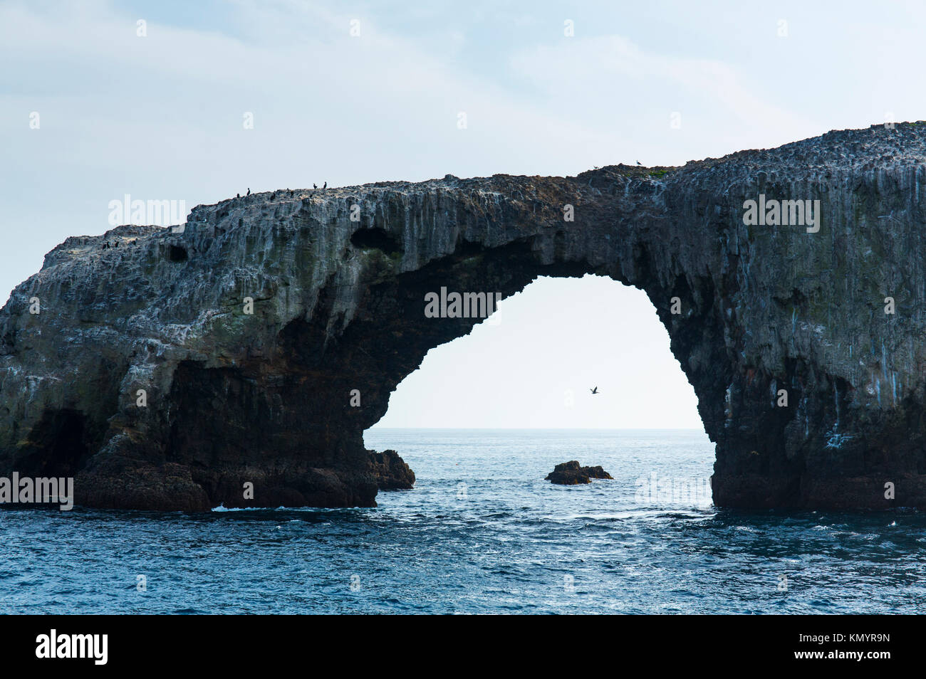 Anacapa Island, Channel Islands National Park, California, Usa, America ...