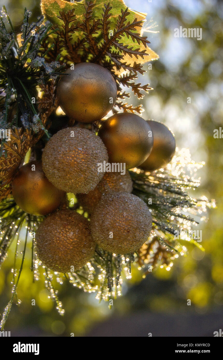 Golden balls and pine tree leaves as Christmas ornaments Stock Photo ...