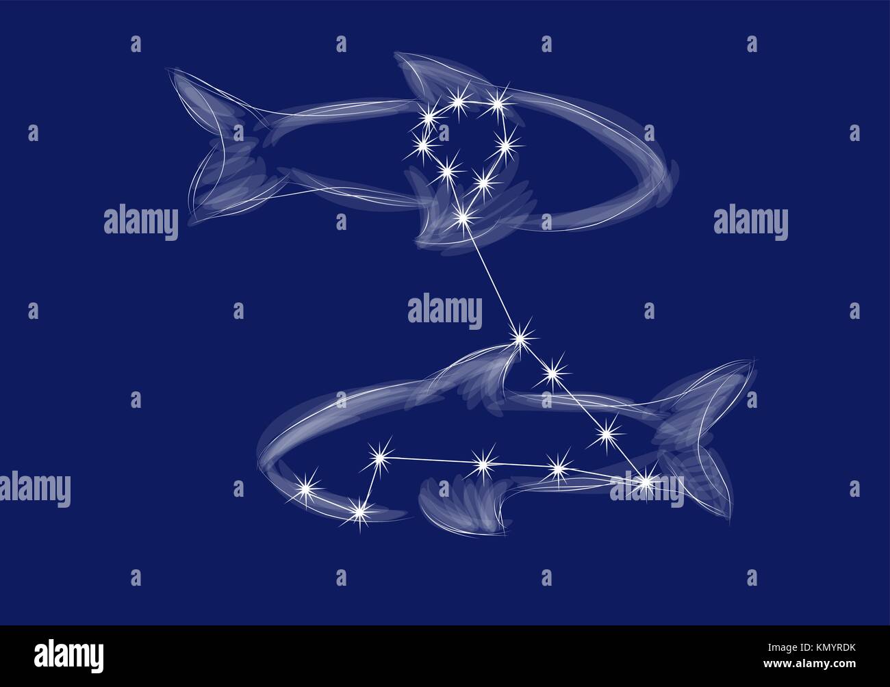 Shark zodiac sign - Horoscopeaz.com