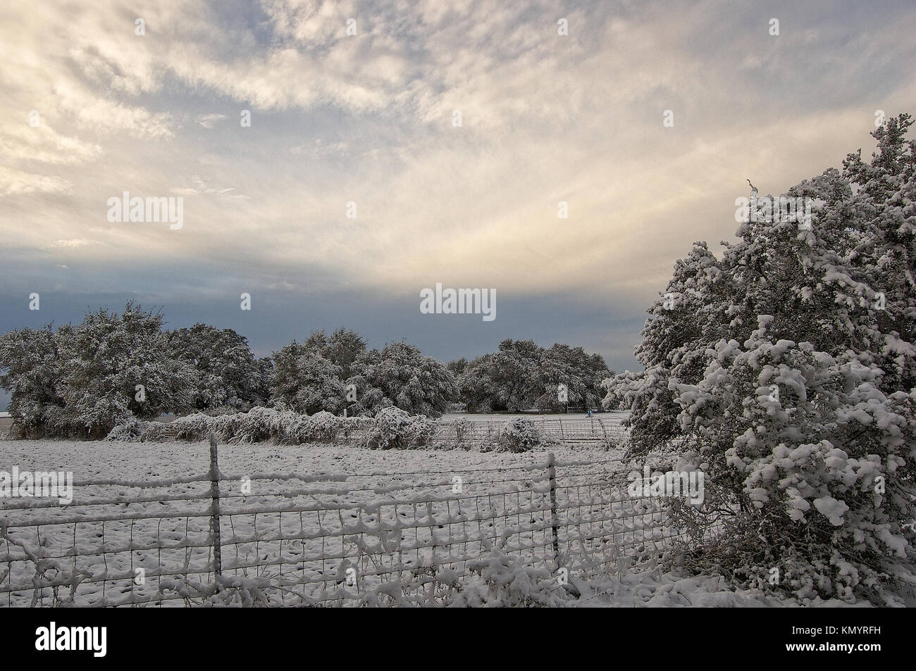 Brushy country hi-res stock photography and images - Alamy