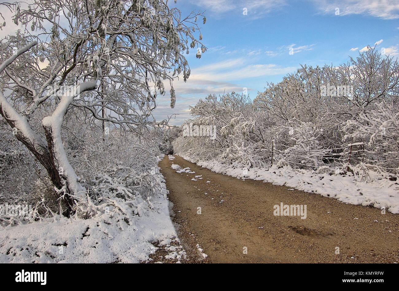 Brushy field hi-res stock photography and images - Alamy