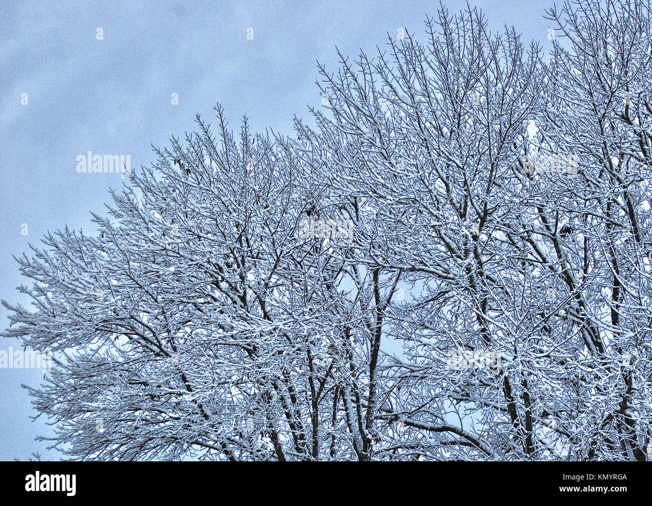 Snow covered field in the winter rural country Stock Photo - Alamy