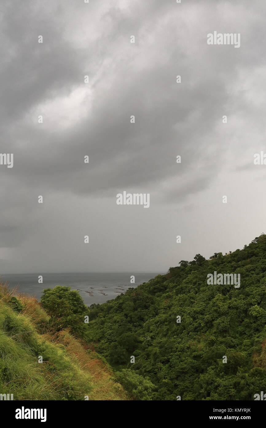 Lake taal snake hi-res stock photography and images - Alamy