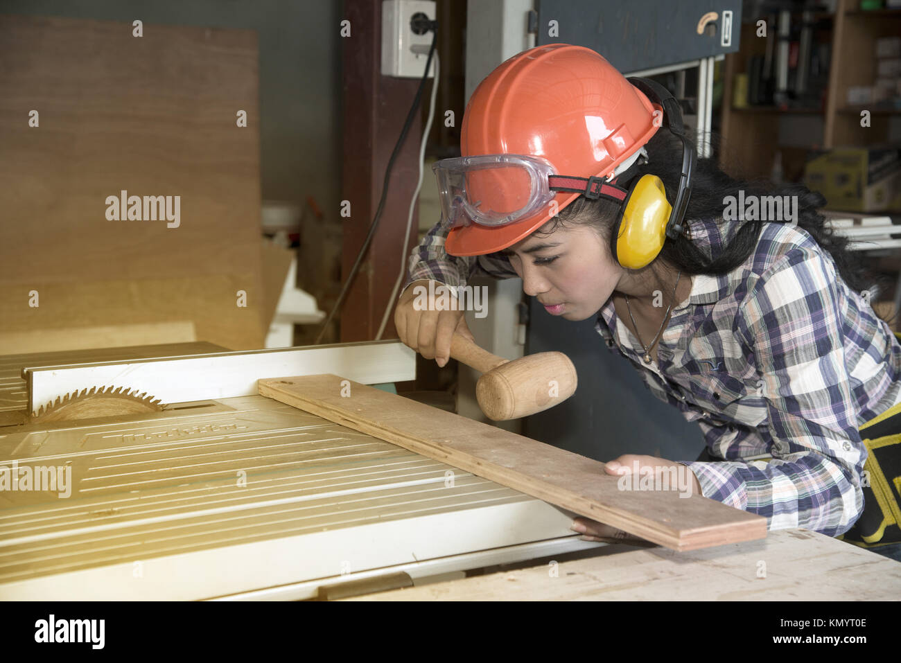Asian pretty female carpenter using wood hammer for wood Stock Photo ...