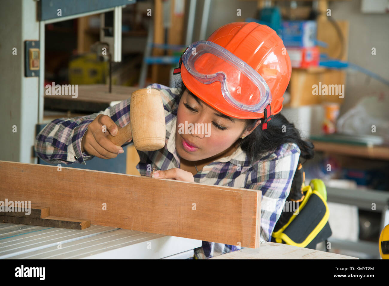 Asian pretty female carpenter using wood hammer for wood Stock Photo ...