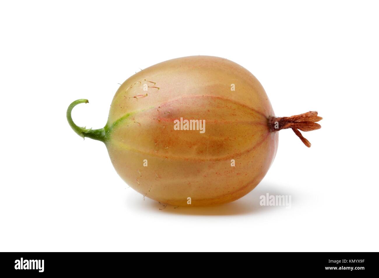 Whole fresh gooseberry on white background Stock Photo - Alamy