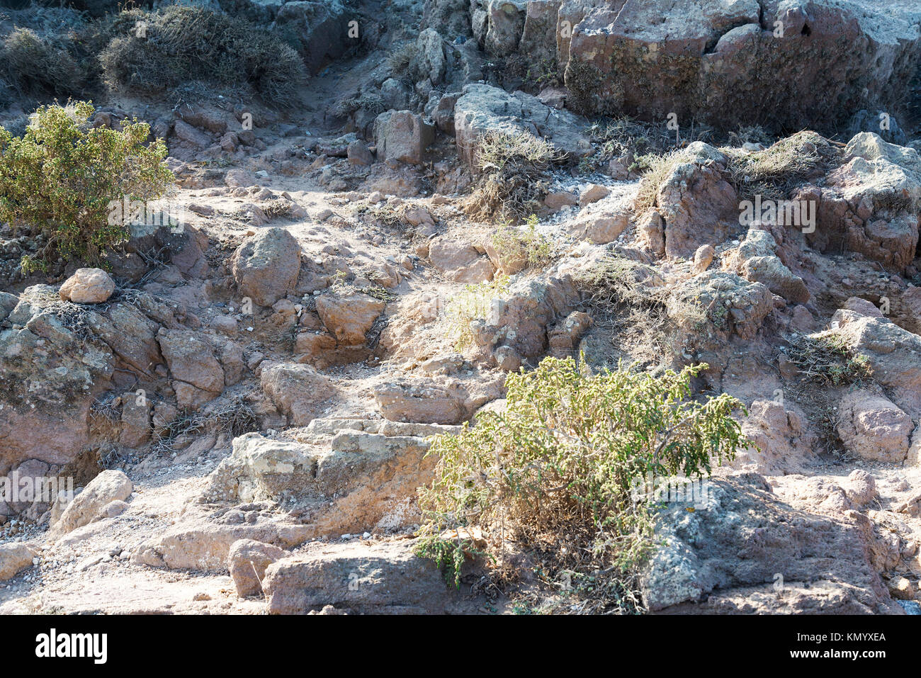The texture of the stones and background. The texture of the rock ...