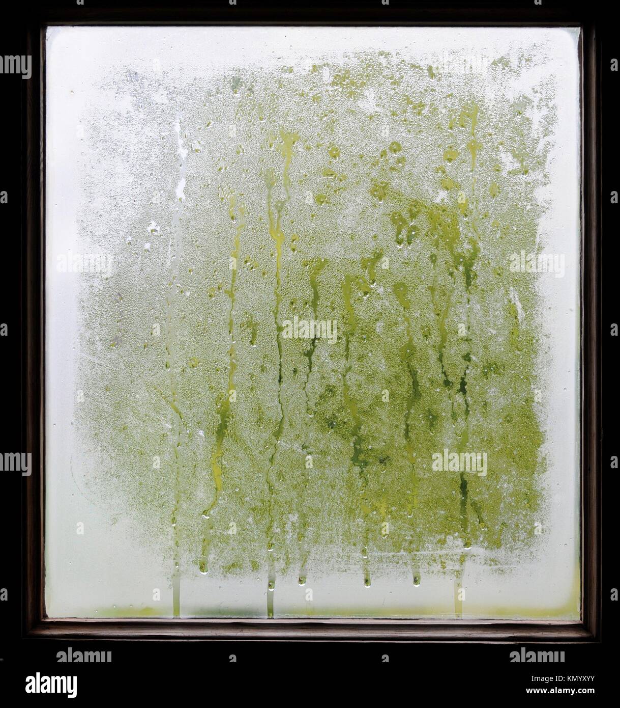 close up on wet, steamy window pane with wooden frame Stock Photo - Alamy