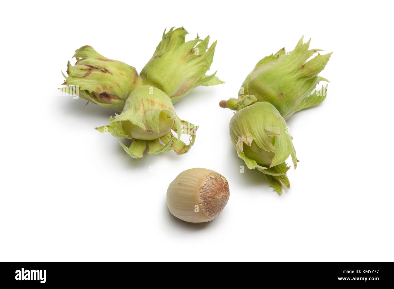 Fresh unripe hazelnuts on white background Stock Photo - Alamy
