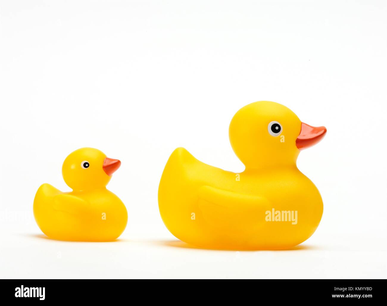 Mommy duck hi-res stock photography and images - Alamy