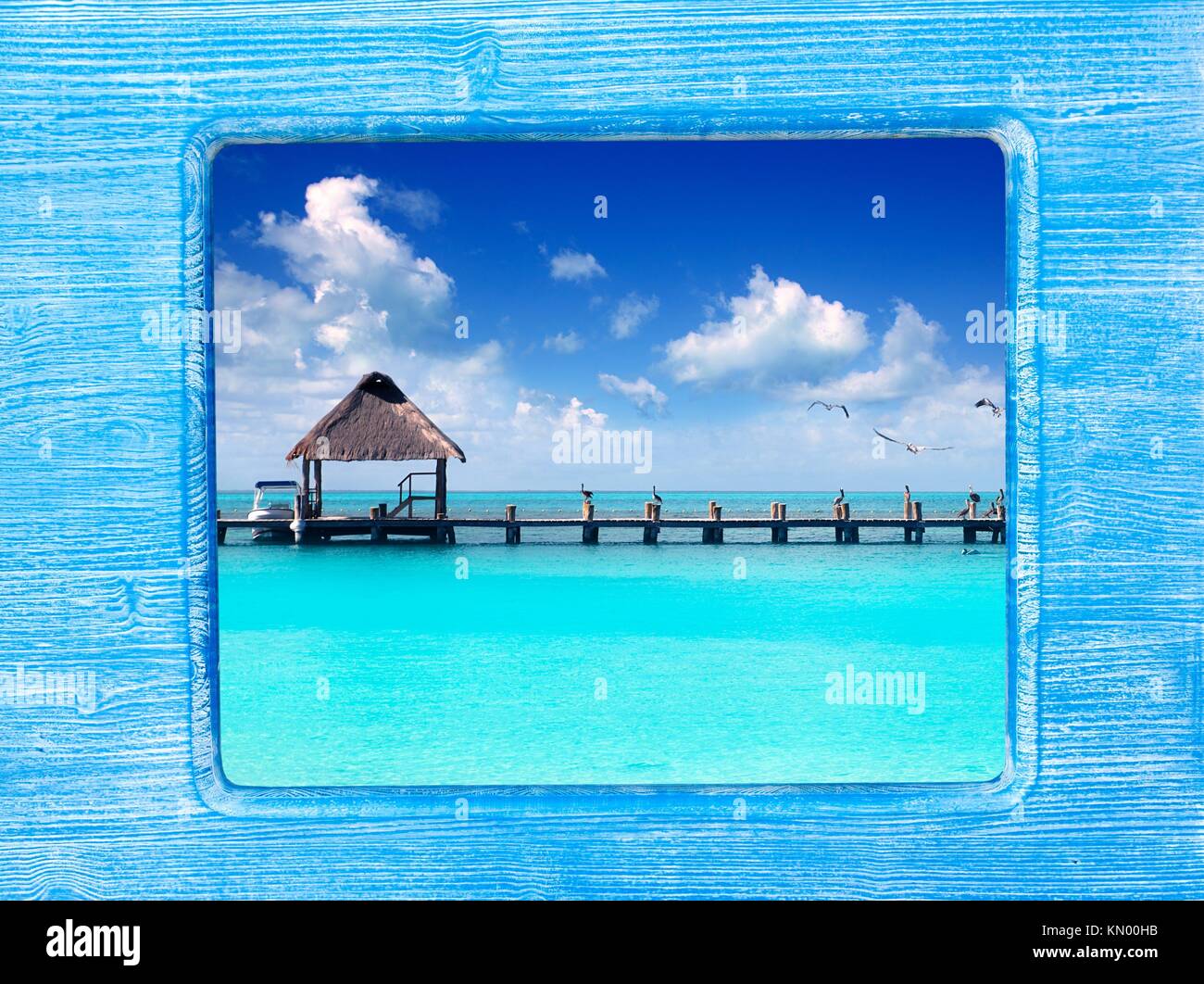 Mexican border wildlife hi-res stock photography and images - Alamy