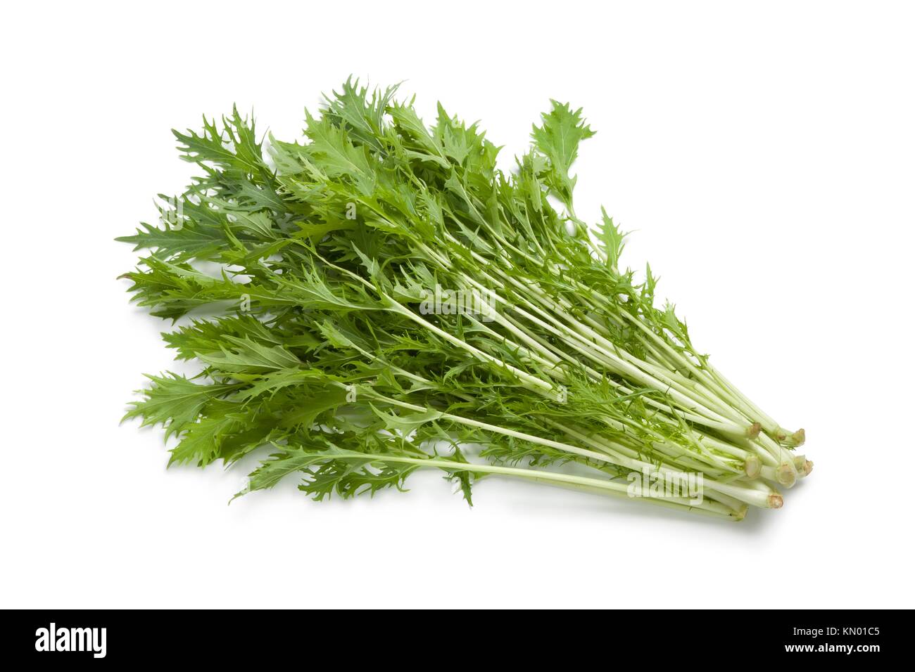 Bunch of fresh Mizuna leaves on white background Stock Photo - Alamy
