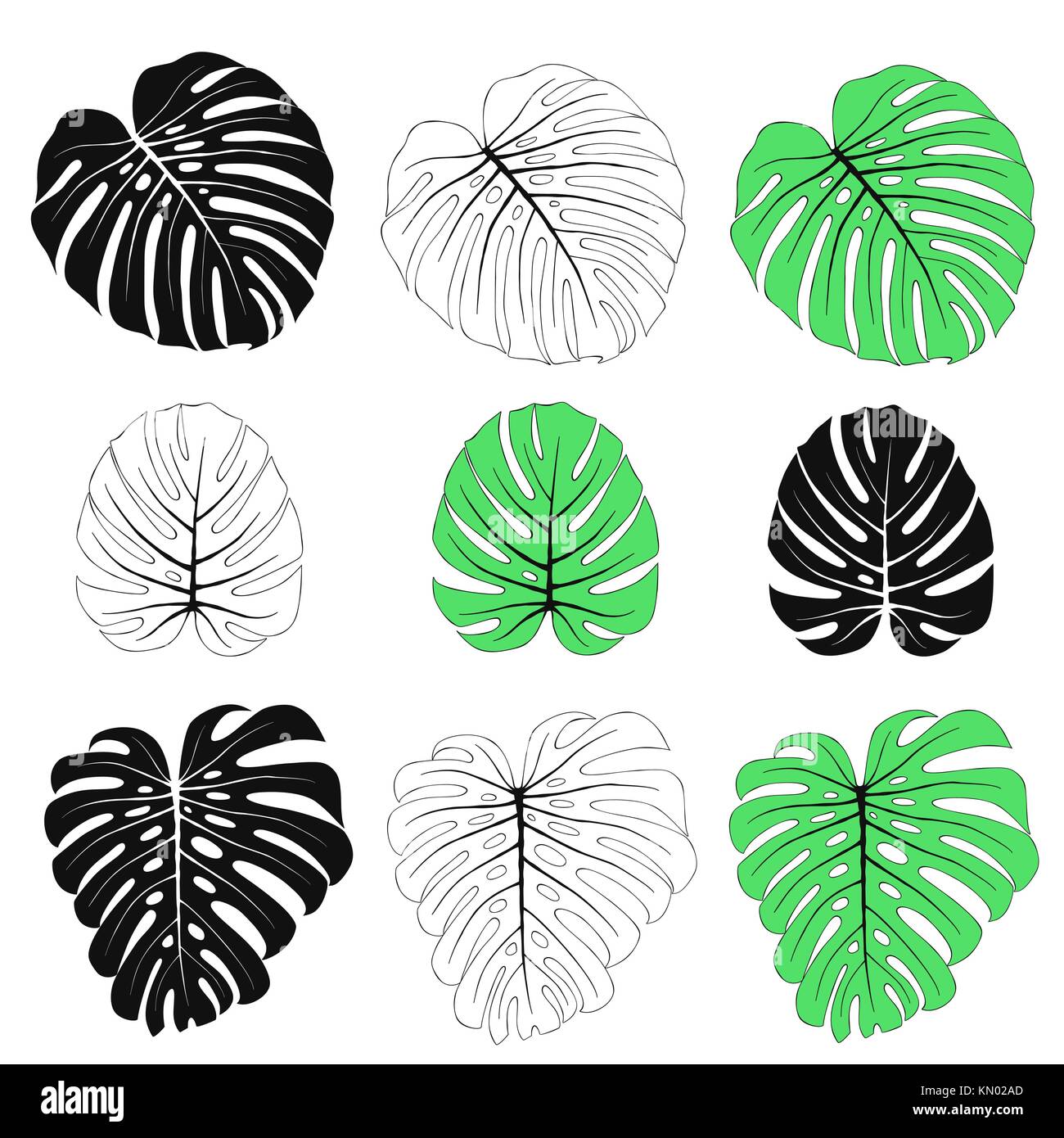 Tropical leaves set Cut Out Stock Images & Pictures - Alamy