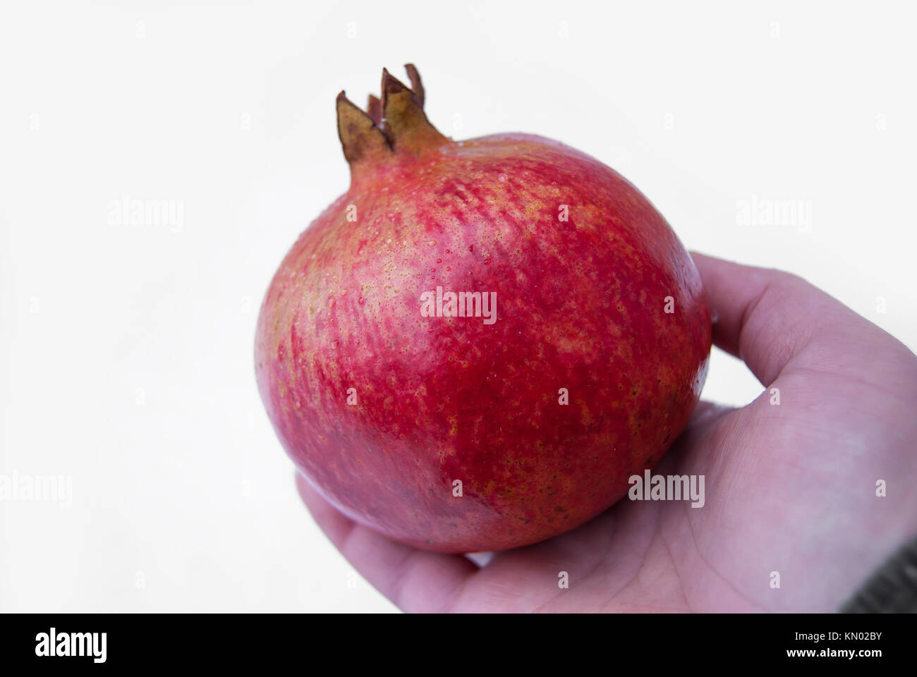 Hand holding pomegranate hi-res stock photography and images - Alamy