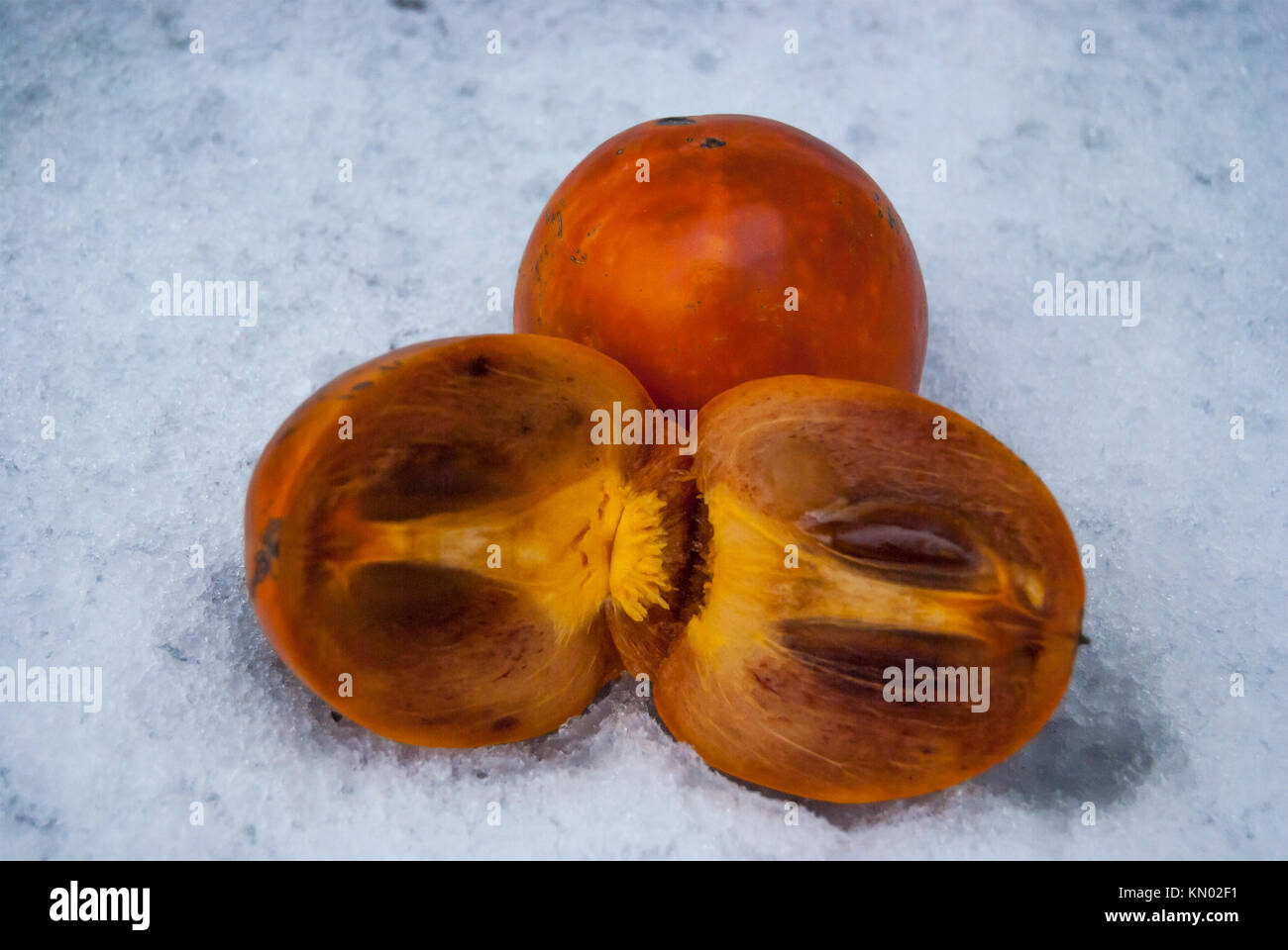 Two ripe orange persimmons, one whole, the other cut in half Stock ...