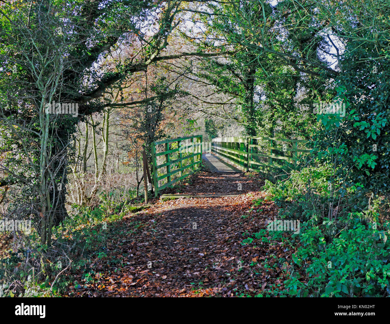 Honing norfolk hi-res stock photography and images - Alamy