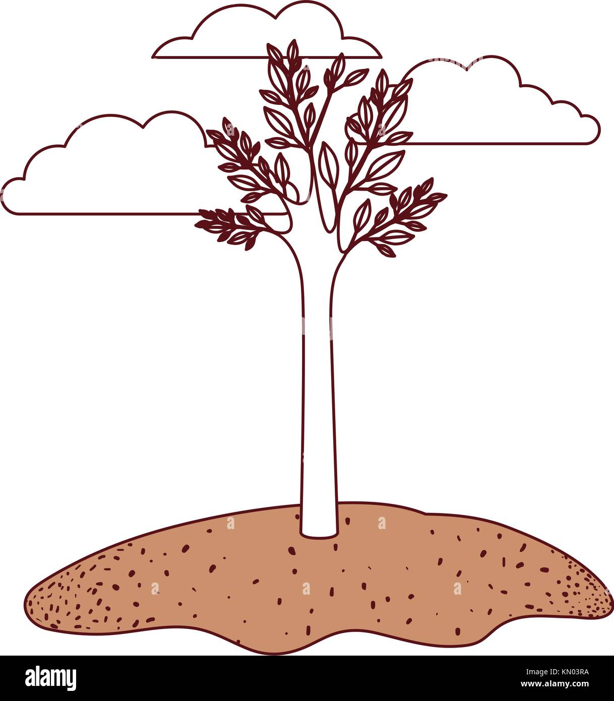 Tree sections Stock Vector Images - Alamy