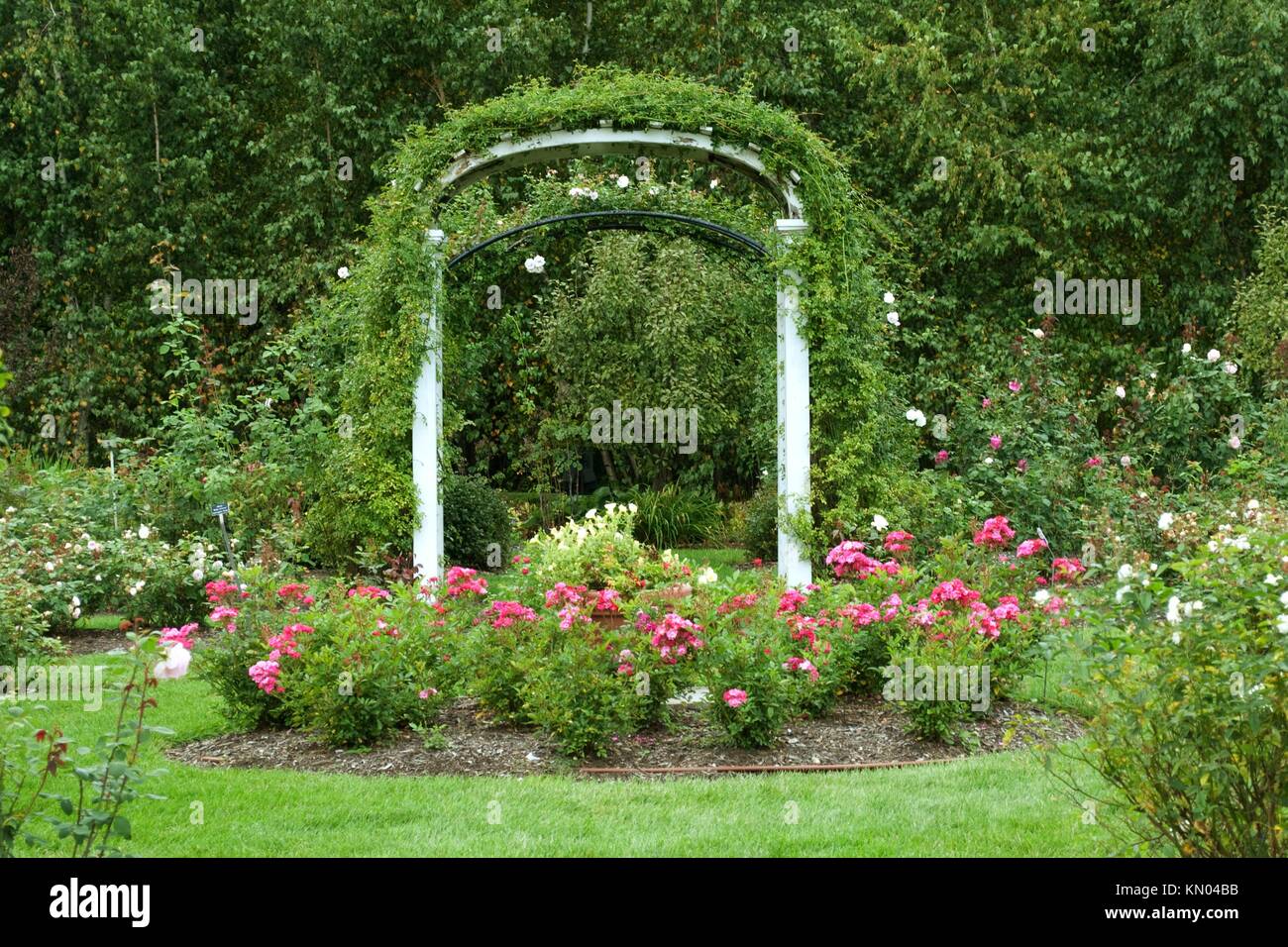 Rose arch garden hi-res stock photography and images - Alamy