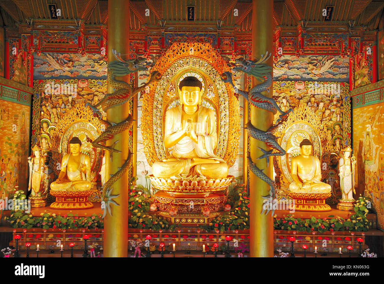 Majestic golden buddha statues in Korea symbolizing faith, peace ...