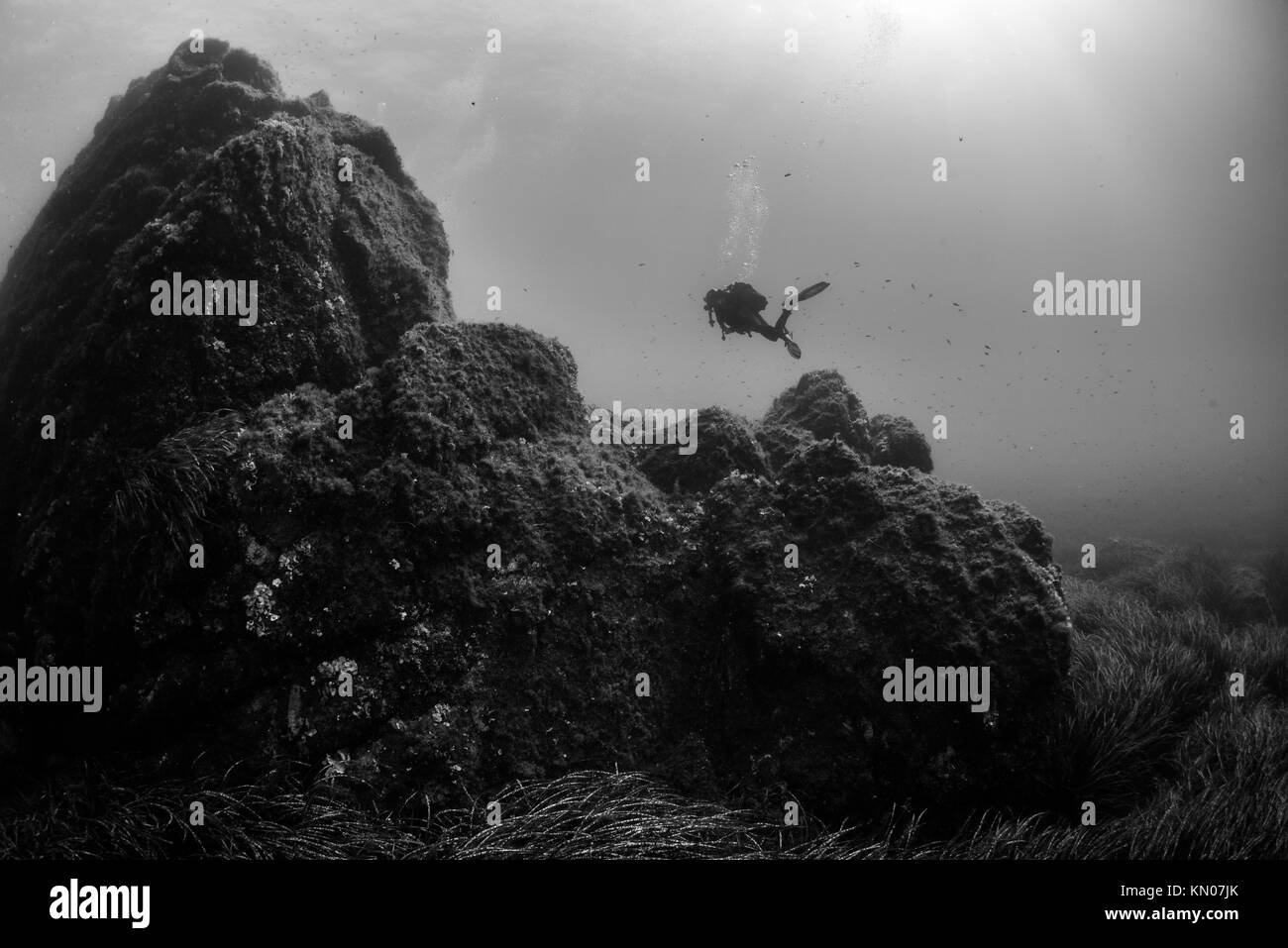 Ocean scuba dive Black and White Stock Photos & Images - Alamy