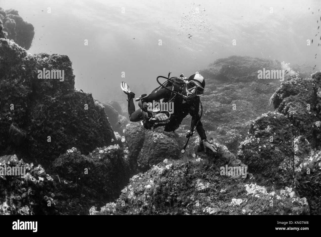 Woman dive underwater Black and White Stock Photos & Images - Alamy