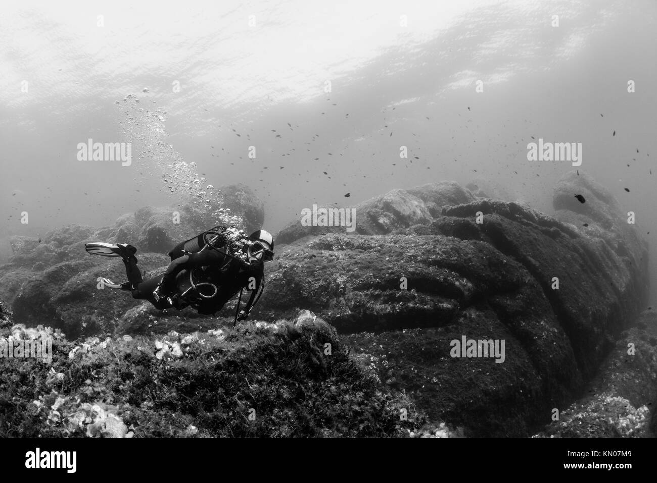 Woman Scuba Diving Black and White Stock Photos & Images - Alamy
