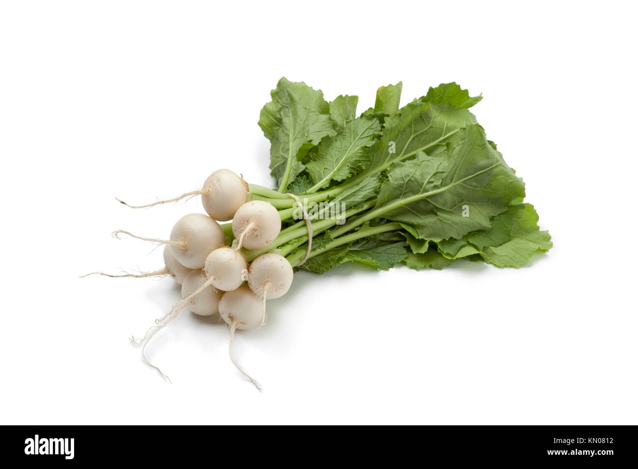 Mini white turnips on white background Stock Photo - Alamy