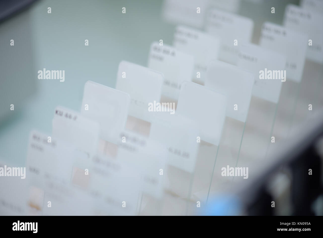 samples in the lab Stock Photo - Alamy