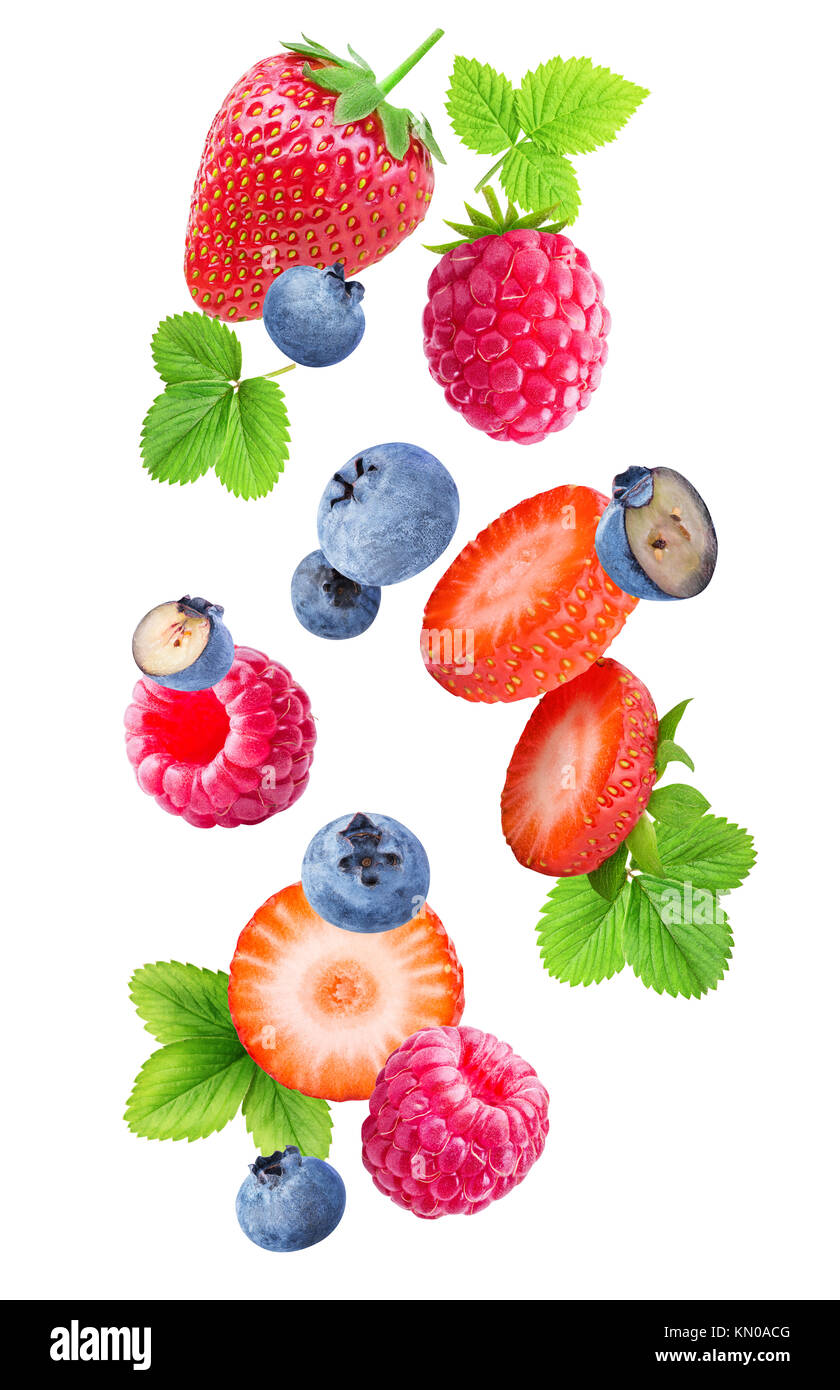 falling berries isolated on white with clipping path Stock Photo - Alamy