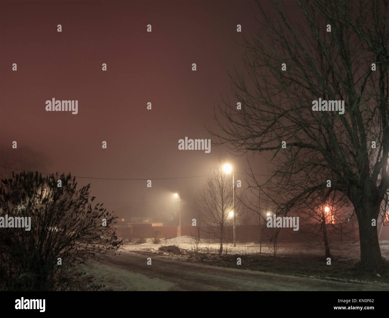 Night landscape. In winter, lanterns burn in the street, fog creates a ...
