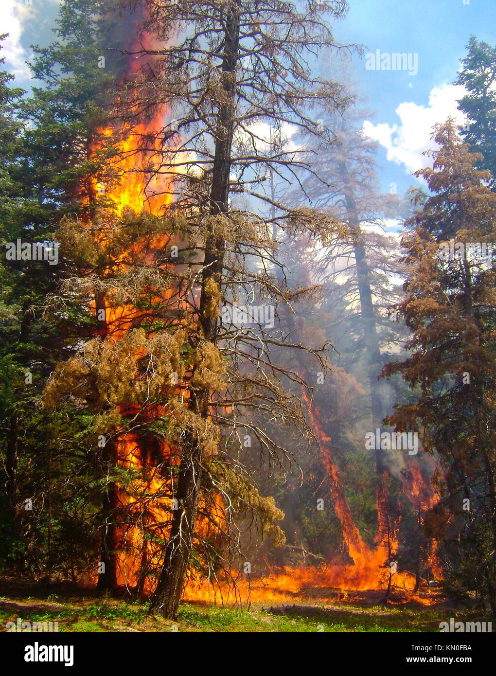 Fire And Lightning Mix