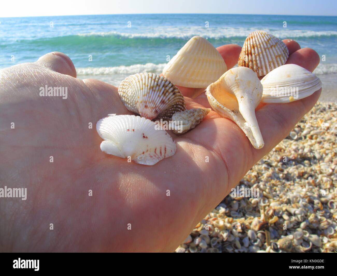 Handfull High Resolution Stock Photography and Images - Alamy