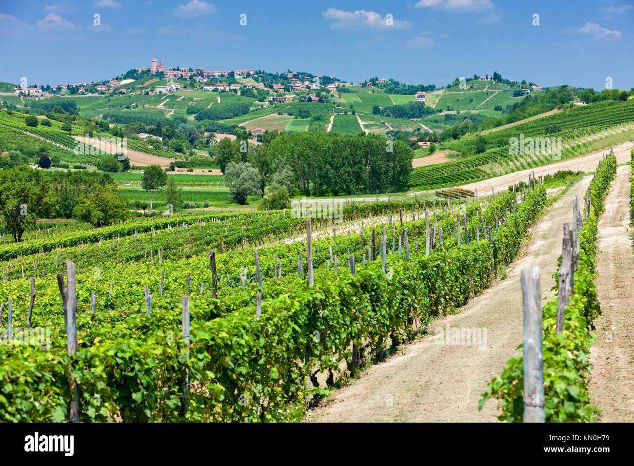 vineyars in Asti Region, Piedmont, Italy Stock Photo - Alamy