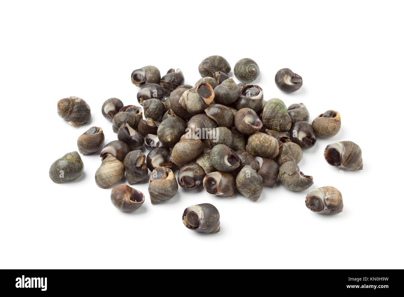 Common Periwinkles High Resolution Stock Photography and Images - Alamy