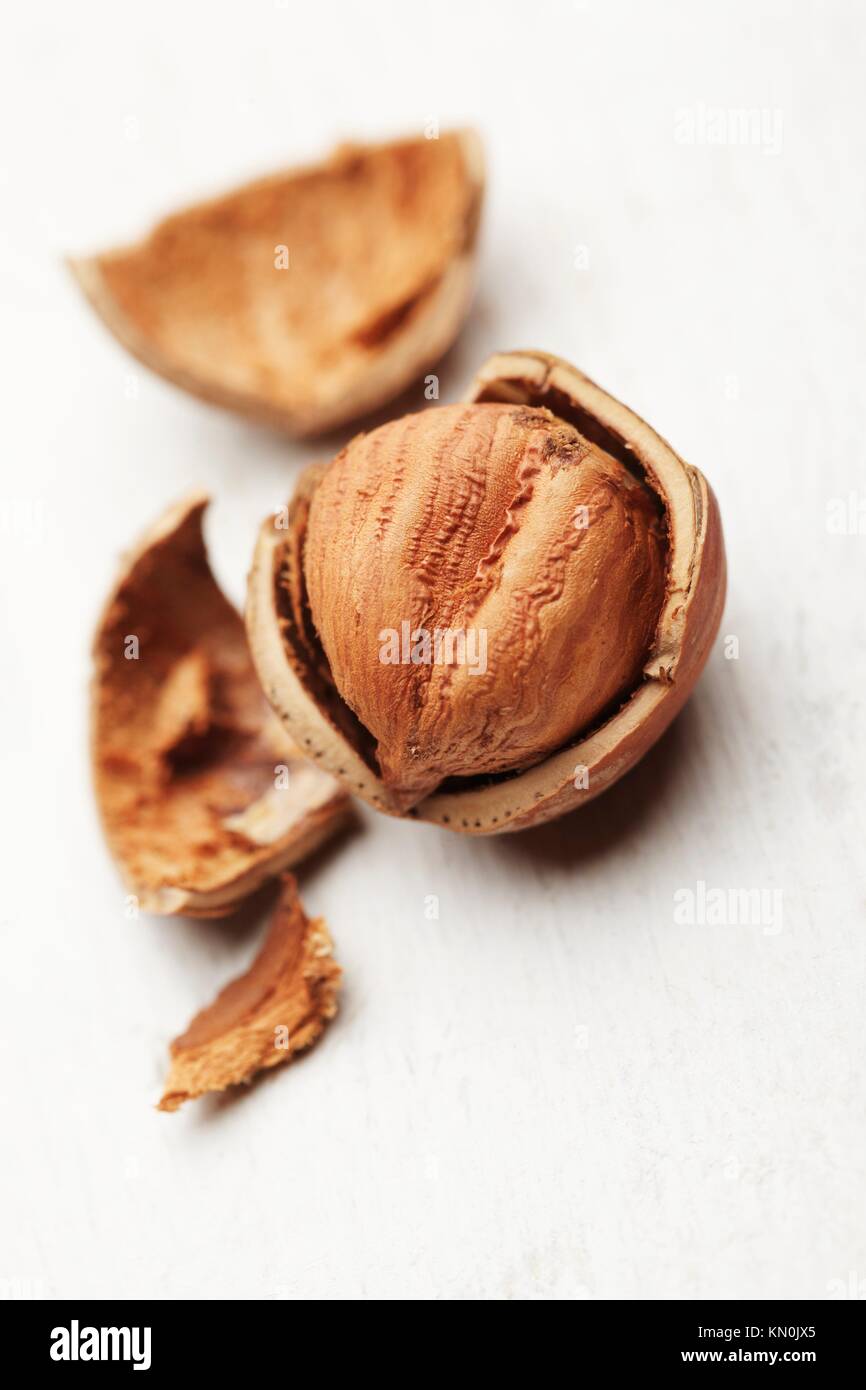 Cracked Hazelnut on white background Stock Photo - Alamy Cracked Hazelnut on white background Stock Photo - Alamy