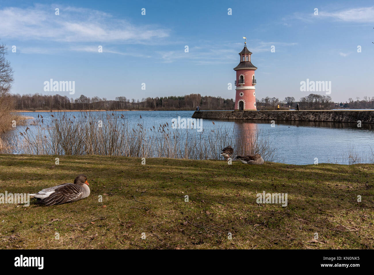 Castle Moritzburg near Dresden in Saxonia in Germany Stock Photo - Alamy