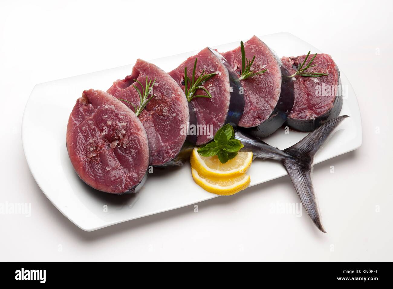 Bluefish tuna hi-res stock photography and images - Alamy