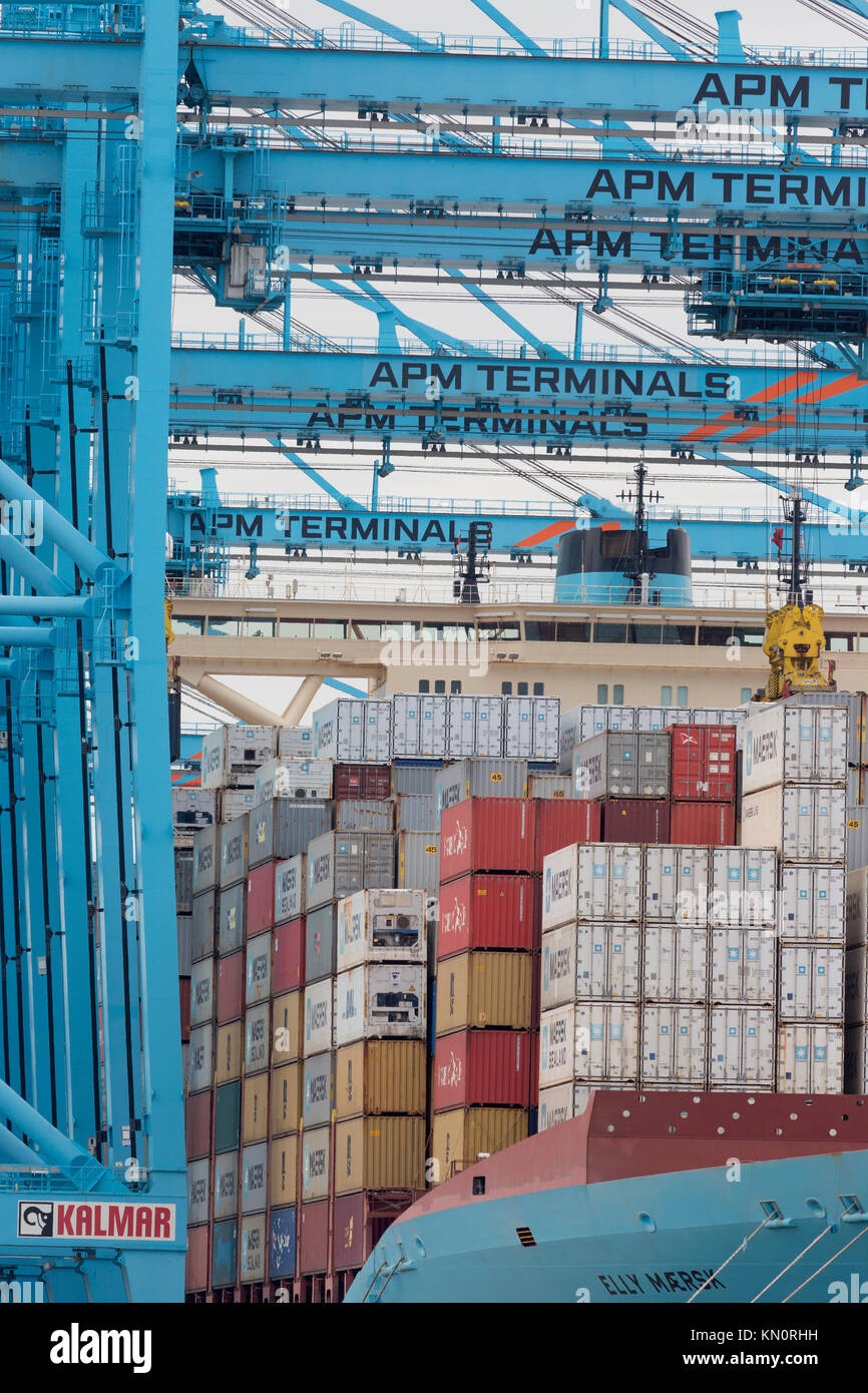 One of several container terminals in the Port of Rotterdam Stock Photo ...