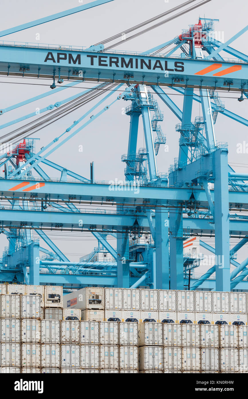 One of several container terminals in the Port of Rotterdam Stock Photo ...