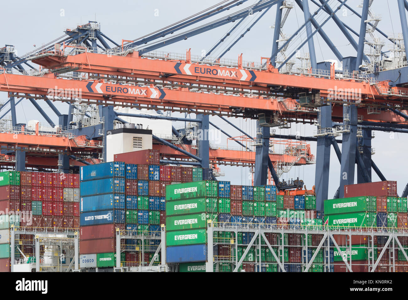 Container activity at The Port of Rotterdam Stock Photo - Alamy