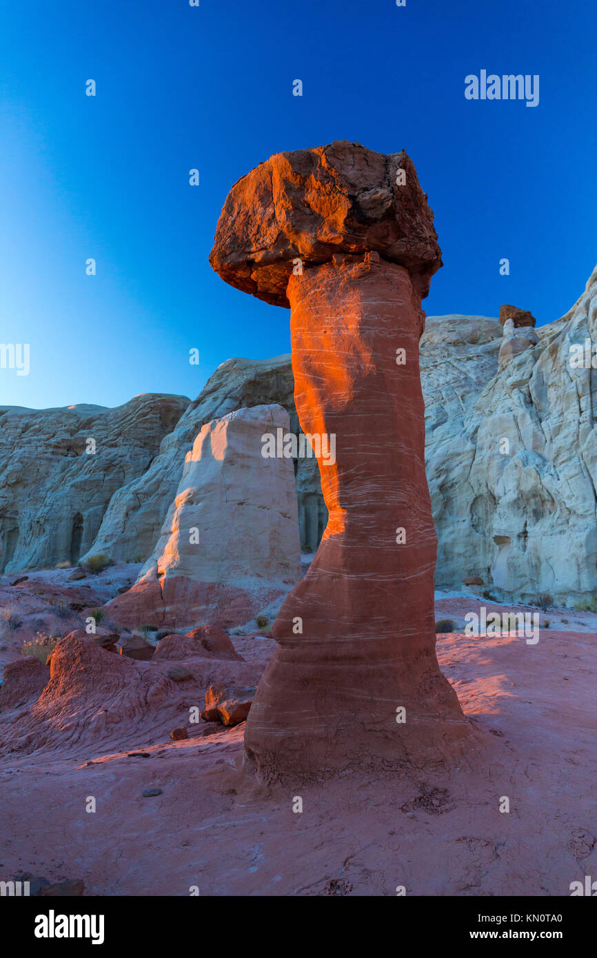 Toadstool Hoodoos, Grand Staircase-Escalante National Monument, Utah ...