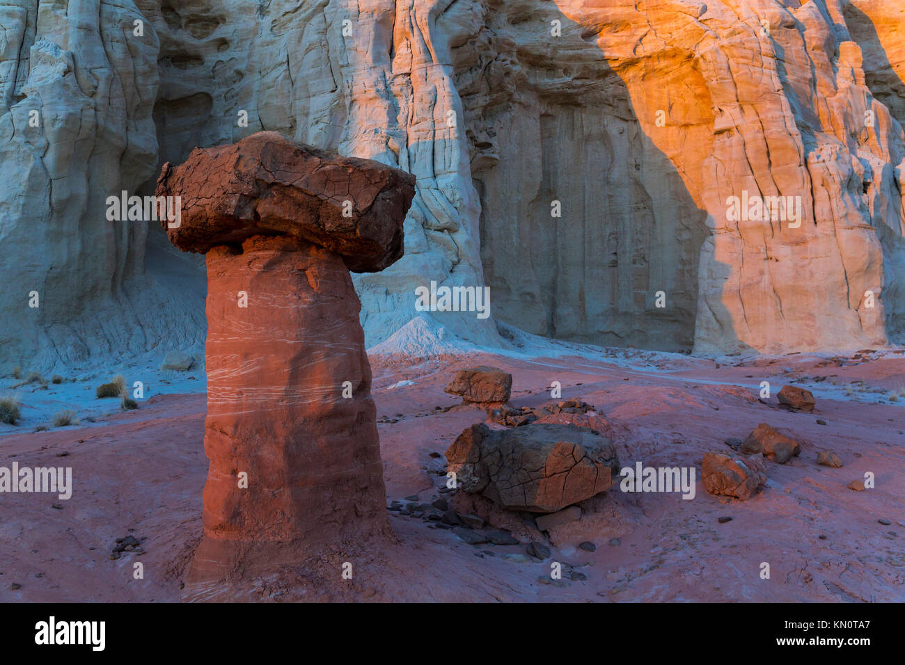 Toadstool Hoodoos, Grand Staircase-Escalante National Monument, Utah ...