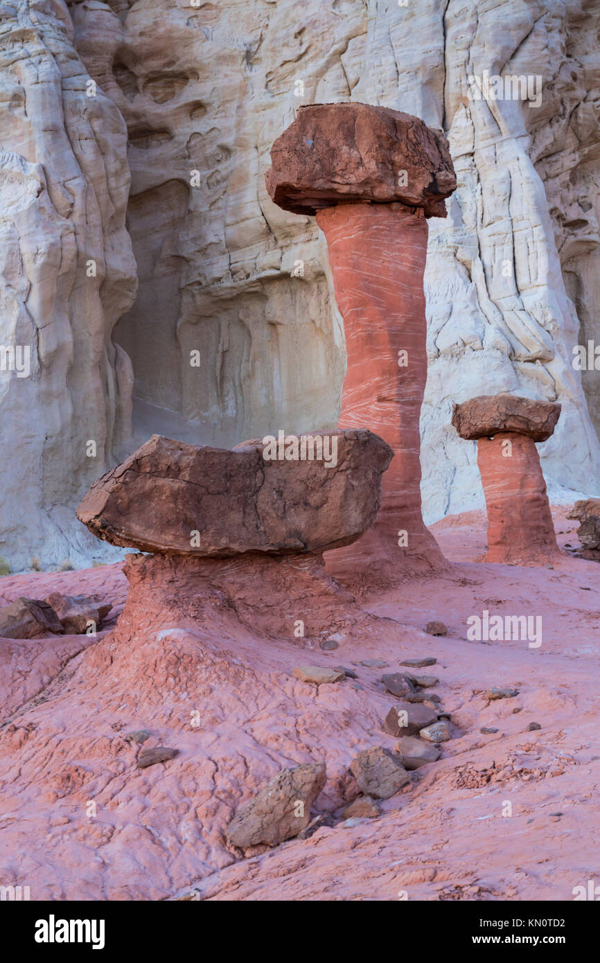 Toadstool Hoodoos, Grand Staircase-Escalante National Monument, Utah ...