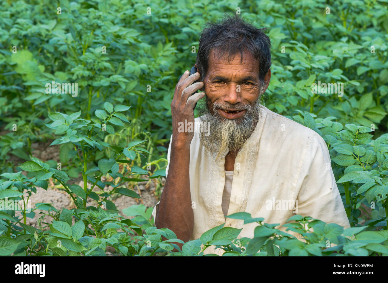 Potato grower & farmer Call center (This scenario of Bangladesh ...