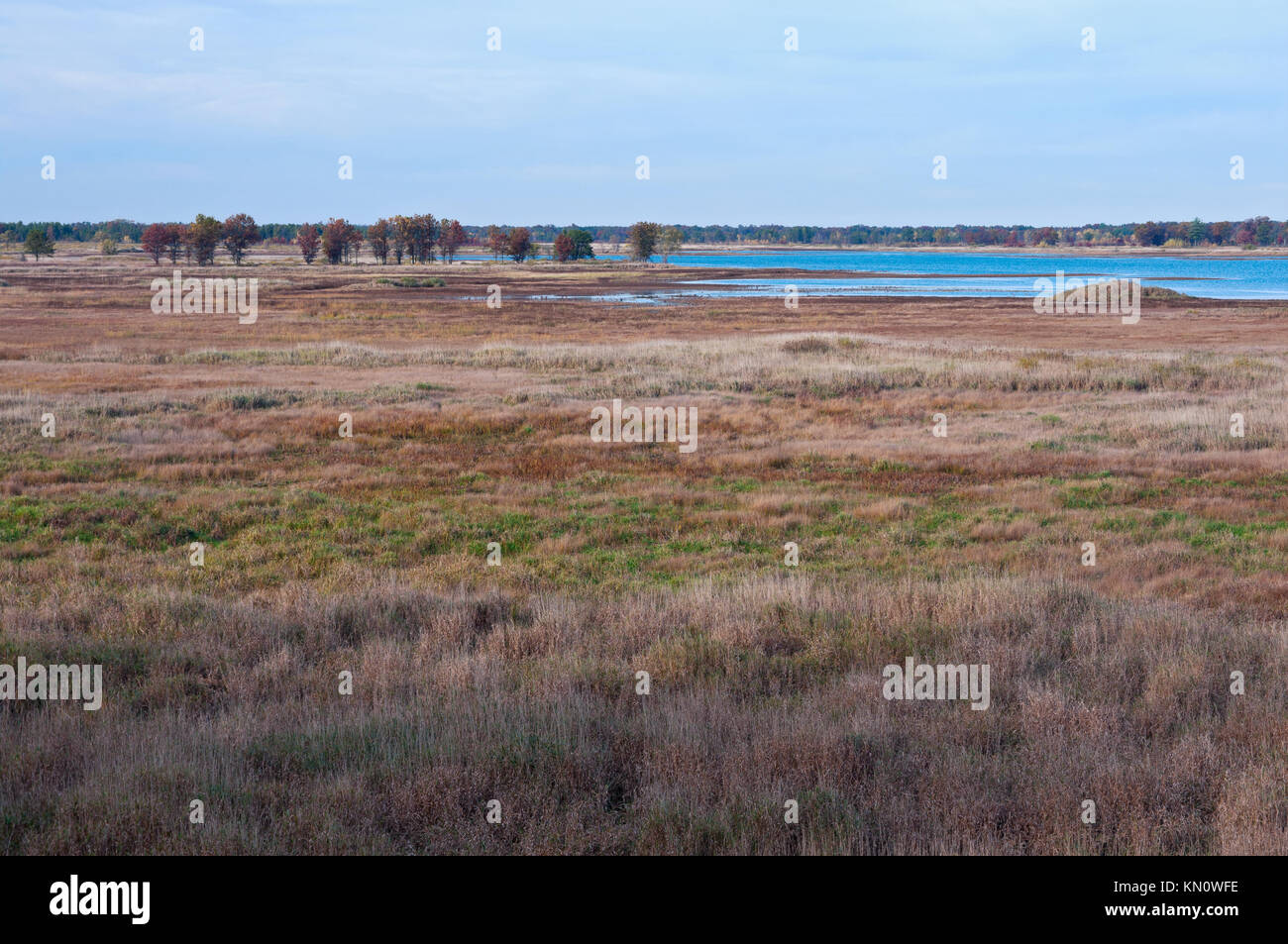 sedge meadow woodlands and wetlands at necedah national wildlife refuge ...