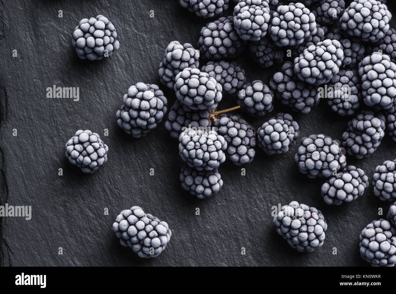 Blackberry close up winter hi-res stock photography and images - Alamy