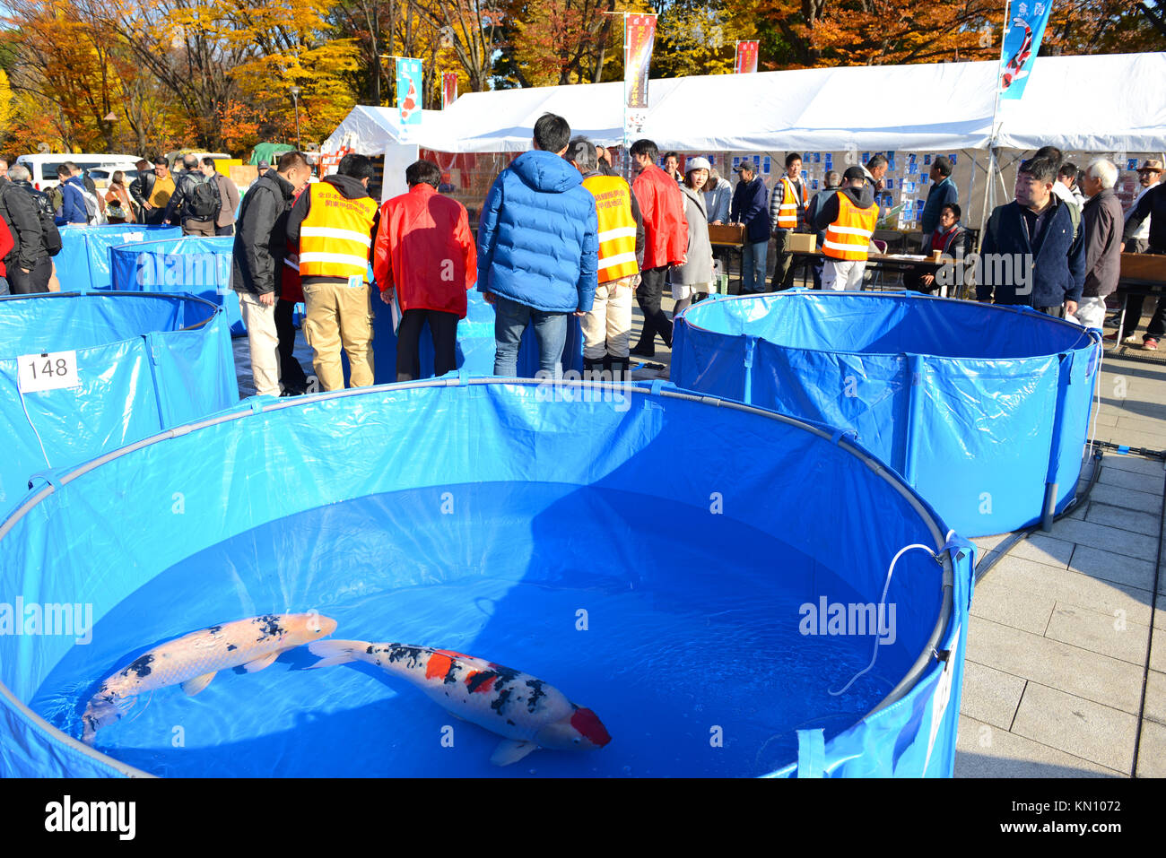 TOKYO CIRCA DECEMBER 2017. The annual Koi show in Ueno Park attracts ...