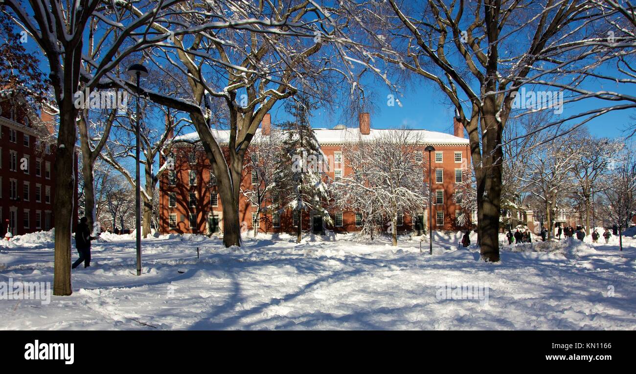 Harvard university campus building college cambridge hi-res stock ...