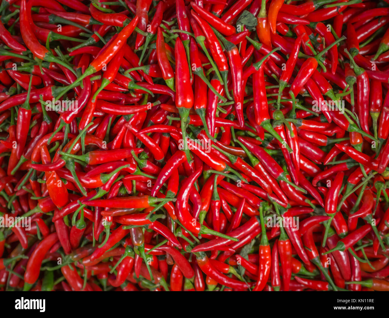 multiple red spicy pepper background Stock Photo - Alamy